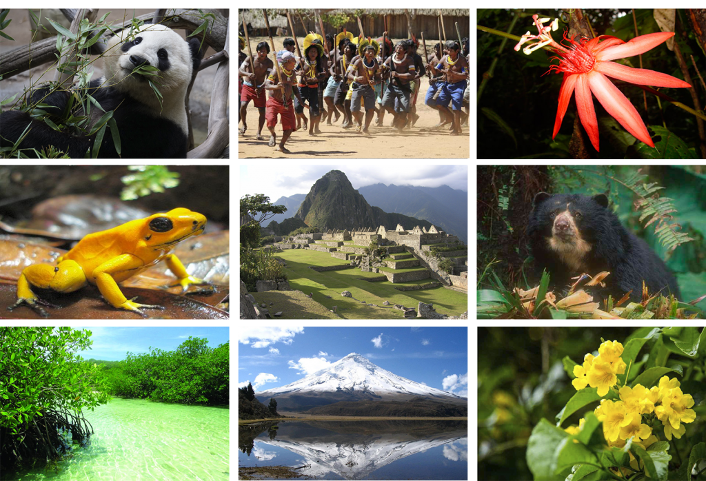 HIGH CONSERVATION VALUES – AVC AND HCSA|BMS Planet